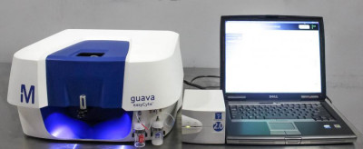 Millipore Guava easyCyte 5 Flow Cytometer from $684.78/mo